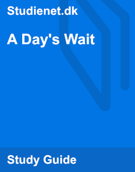 Summary of A Day's Wait