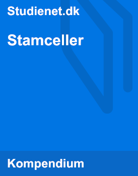 Hvad er stamceller?