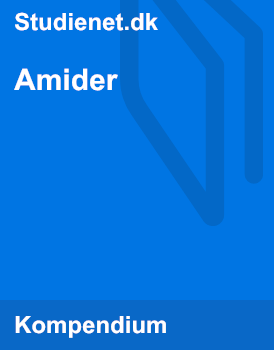 Amider | Studienet.dk